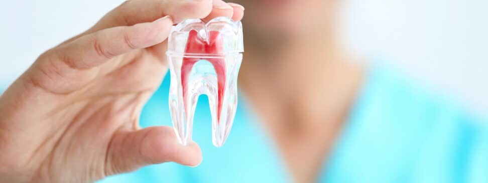 Dental Tips | ARC Dental Health
